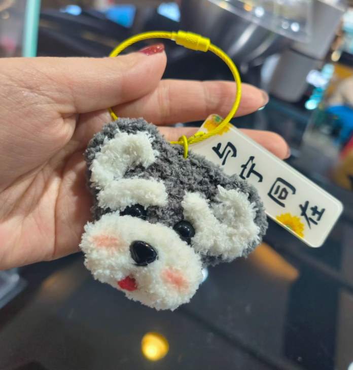 Liu Yuning Merch - Pet Daimi [YUNING WITH YOU] Keychain (Hand-made ...